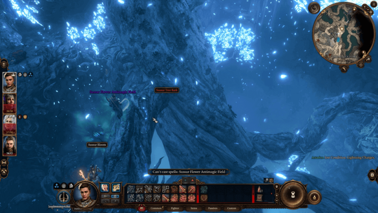 BG3: How To Get Sussur Tree Bark & It's Location - PalNerd