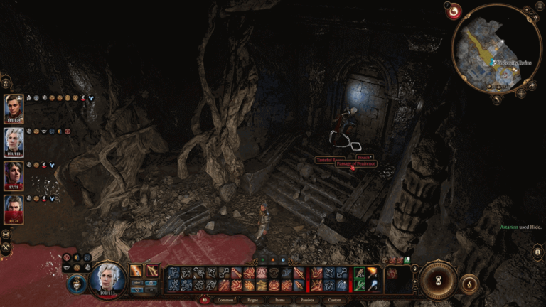 Sarin’s Skeleton Location & How to Put Her to Rest in BG3 - PalNerd